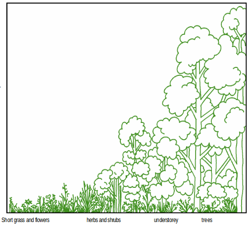 Woodlands | Uttlesford Wildlife